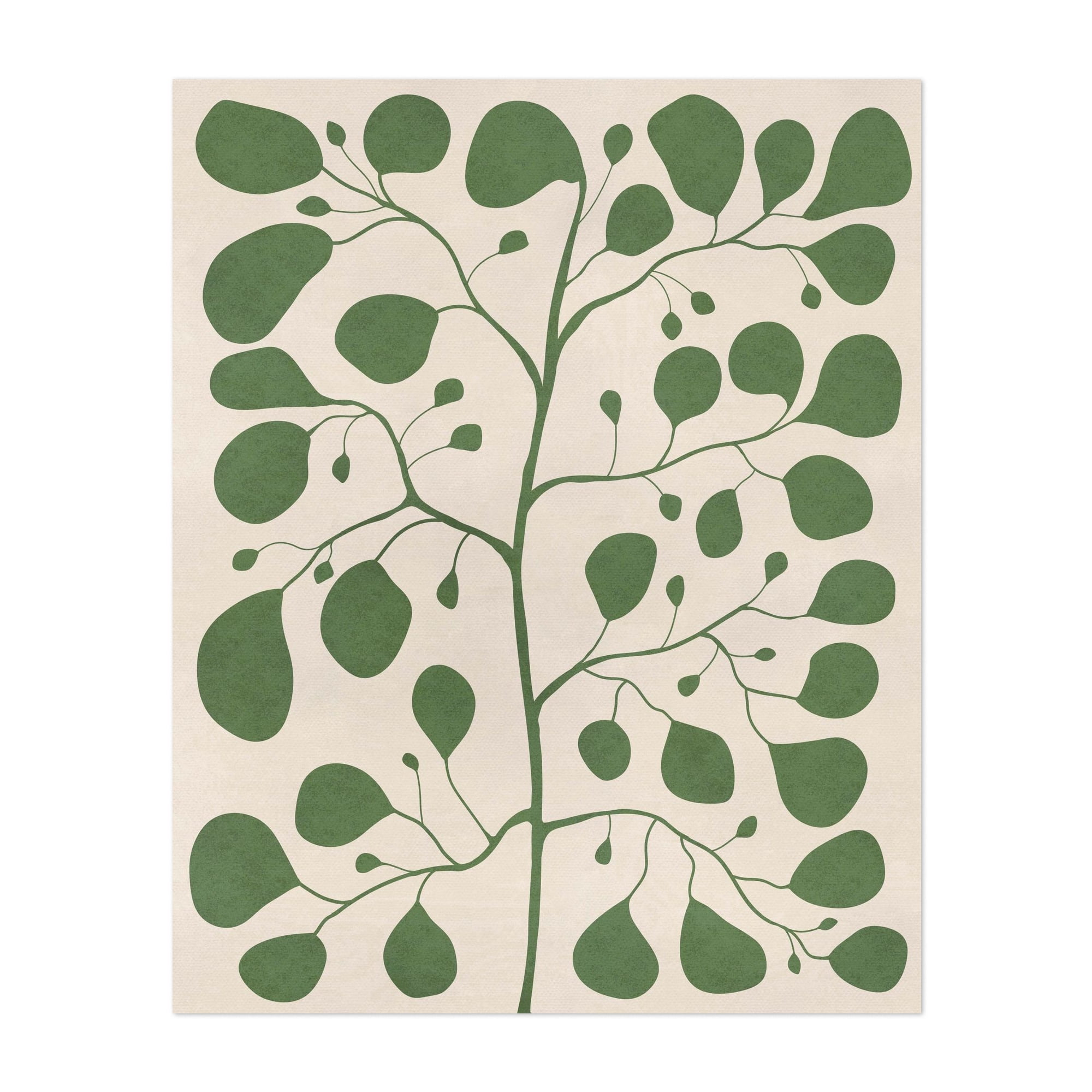 Botanical Poster – Fiddle Leaf Fig Illustration - Illustration ...