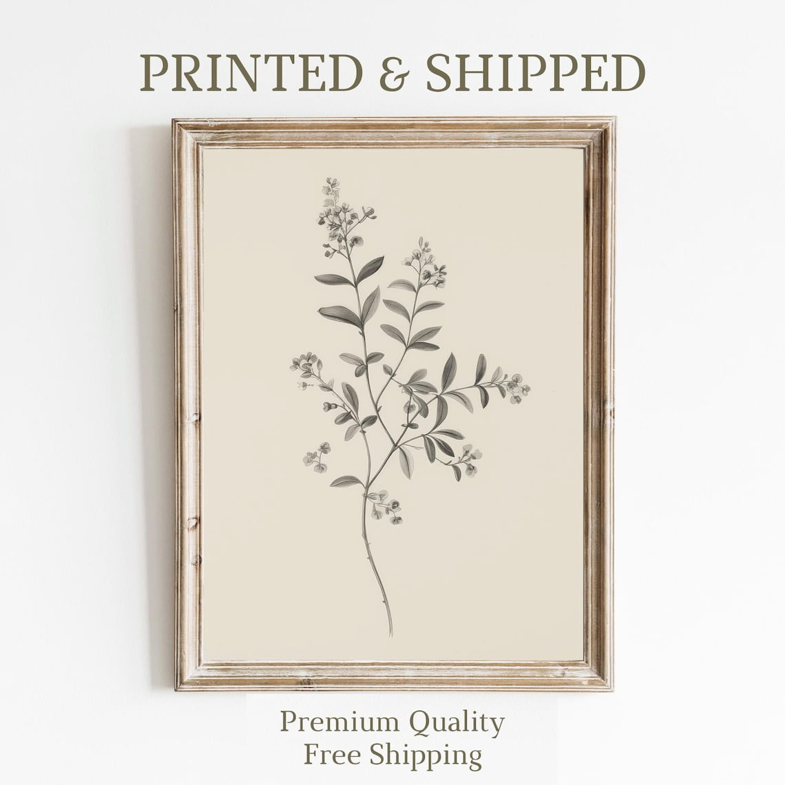 Botanical Print, Flower Sketch Wall Art, Giclee Mailed Art Print, Fine ...