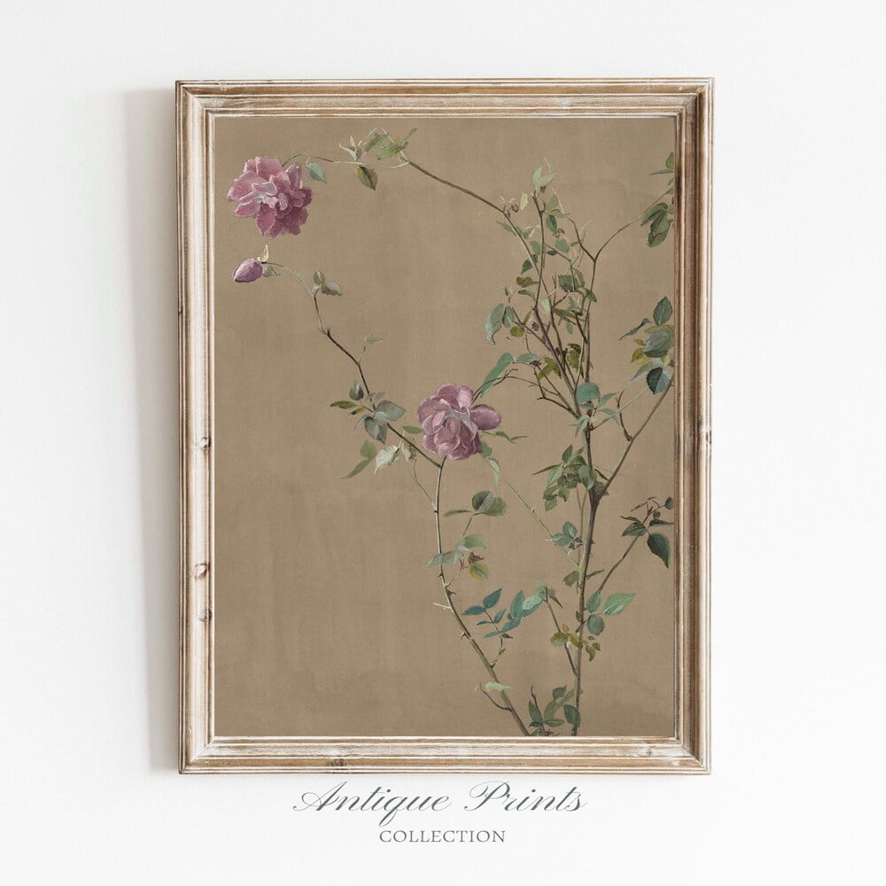 Botanical Print Neutral Floral Wall Art Vintage Cottage Art Floral ...