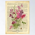 Botanical Print On Old Book Page Garden Flowers Pink Poster , Poster ...