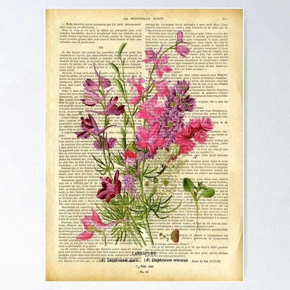 Botanical Print On Old Book Page Garden Flowers Pink Poster , Poster ...