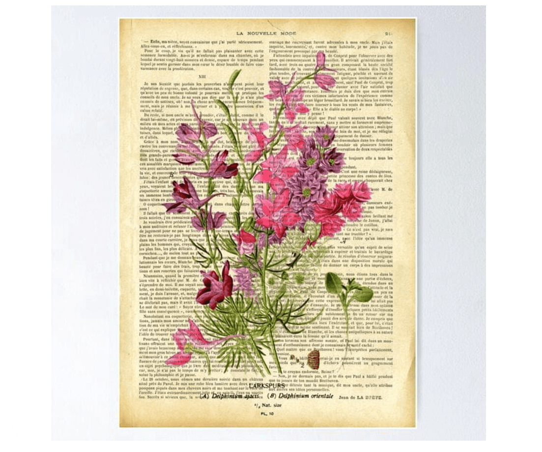 Botanical Print On Old Book Page Garden Flowers Pink Poster - Walmart.com