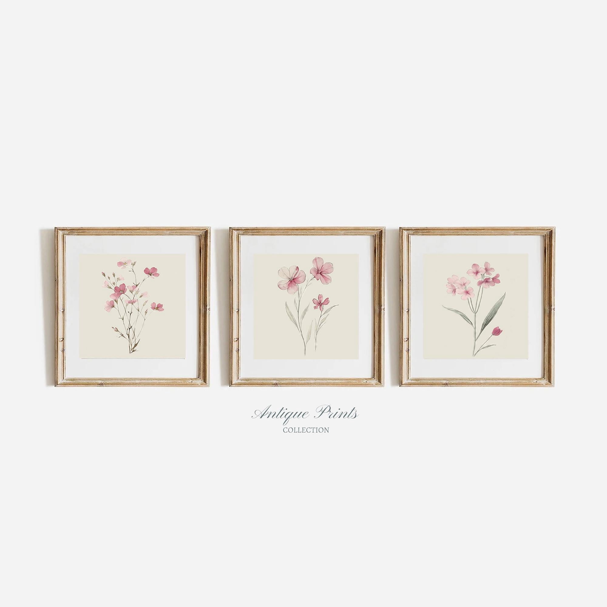 Botanical Print Set Neutral Floral Drawing Vintage Blush Flowers Wall ...