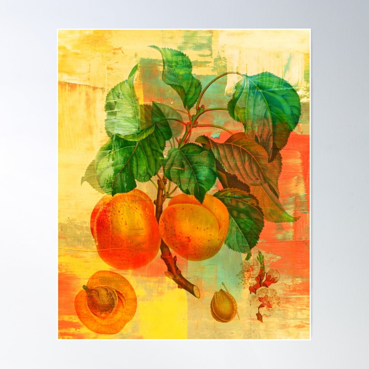 Botanical Print With A Modern Twist- Apricots- Peaches Poster Wall Art, Modern Wall Decor For ...