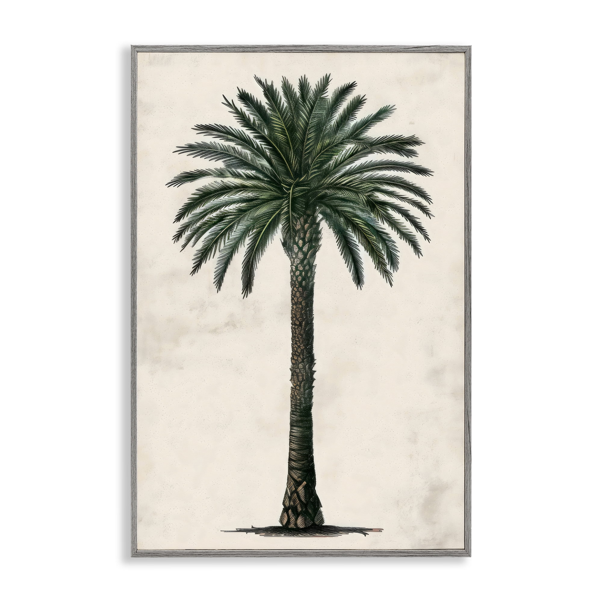 Stupell Industries Botanical Rounded Palm Tree Gray Framed Giclee Art ...