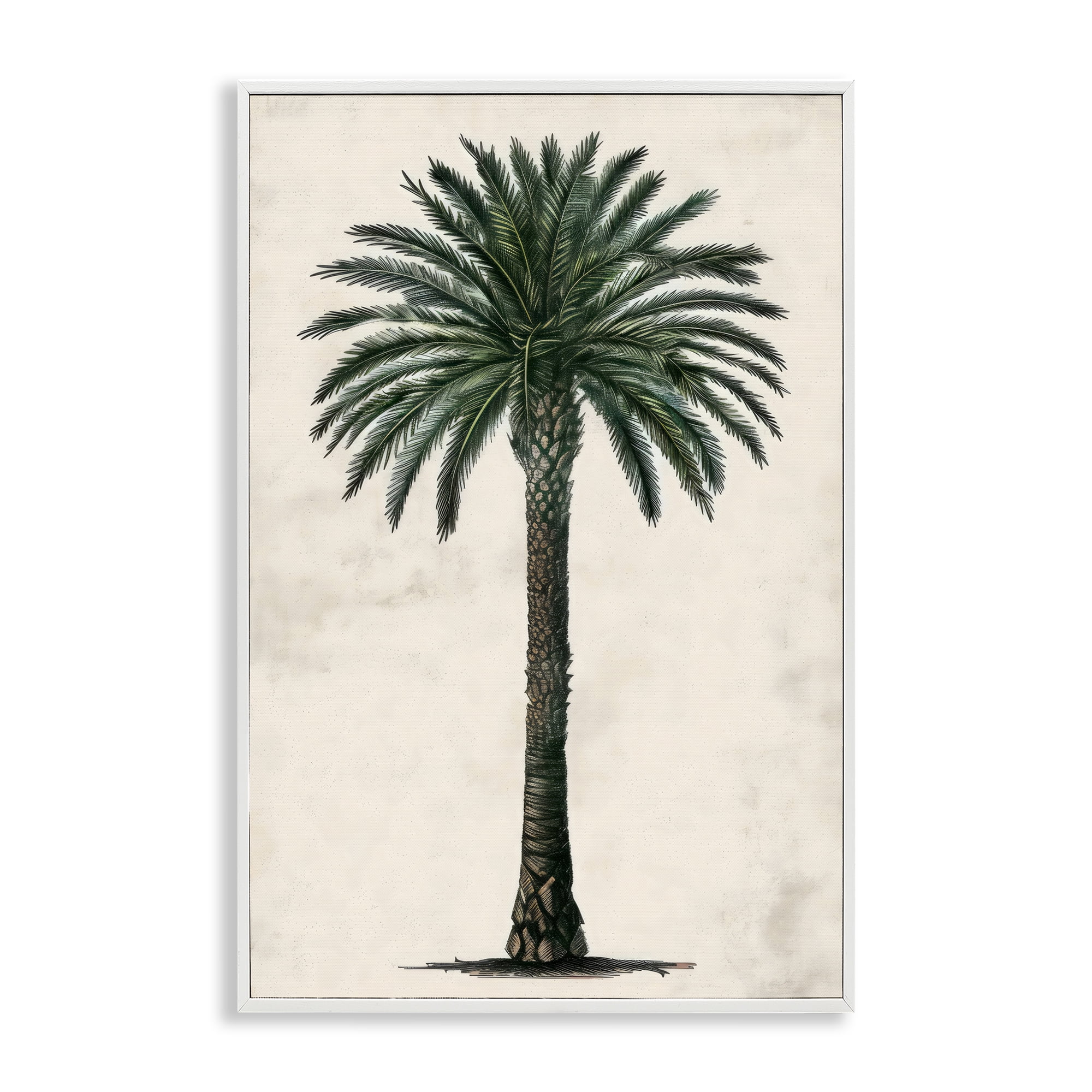 Stupell Industries Botanical Rounded Palm Tree White Framed Giclee Art ...