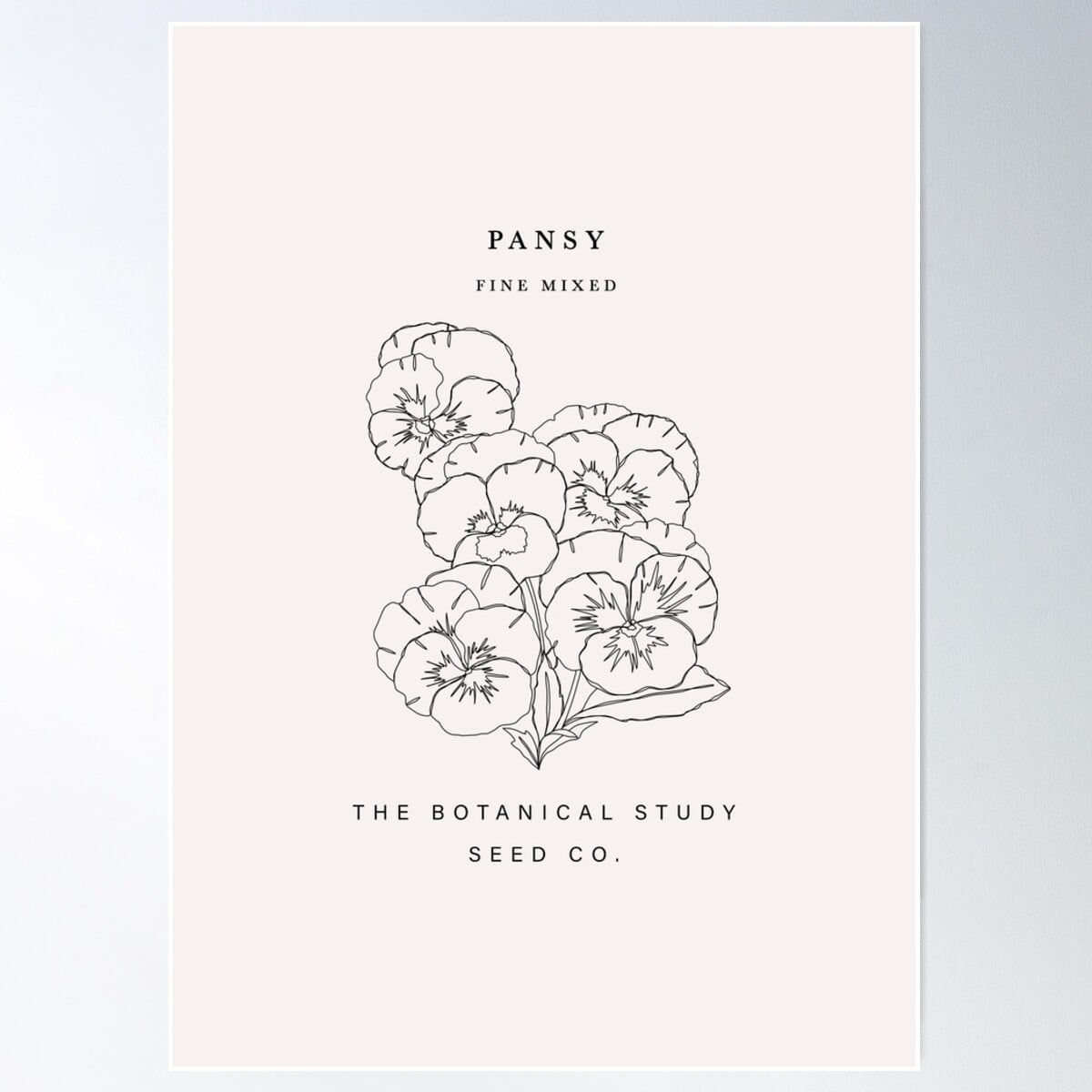 Botanical Seed Pack Illustration Print - Pansy Poster Wall Art, Modern ...