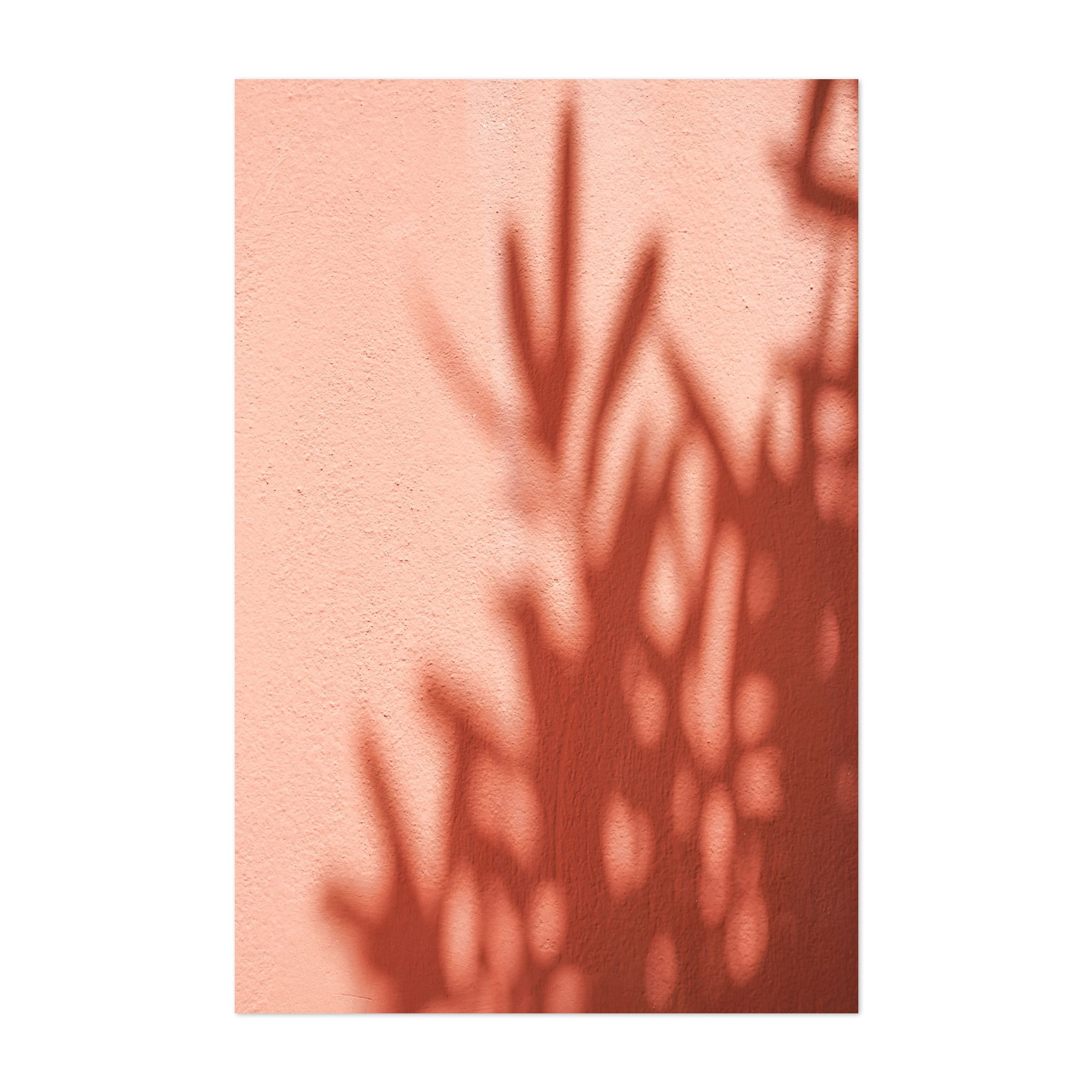 Botanical Shadowplay - Menton Provence-Alpes-Côte d'Azur France ...