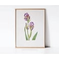 Botanical Sketch Drawing Painting Poster Art Home Decor Vintage Gift ...