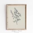 Botanical Sketch Neutral Branch Vintage Drawing Minimalist Neutral ...