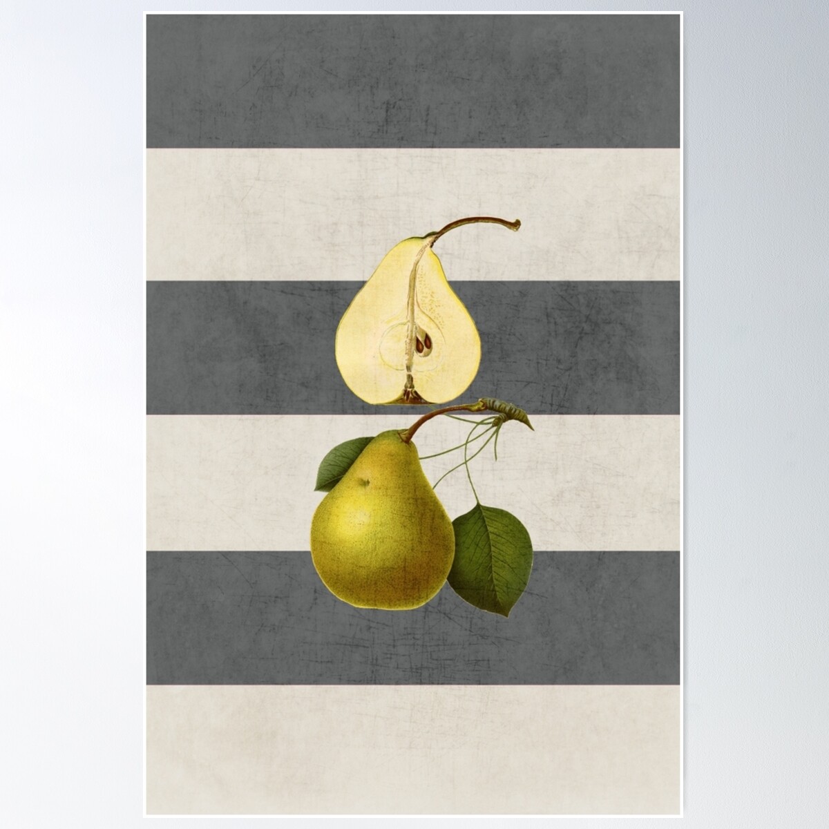 Botanical Stripes - Pear Poster Wall Art, Modern Wall Decor For Living ...
