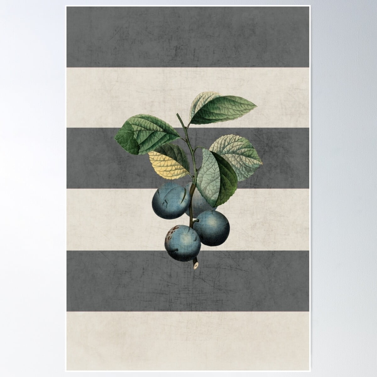 Botanical Stripes - Plums Poster Wall Art, Modern Wall Decor For Living ...