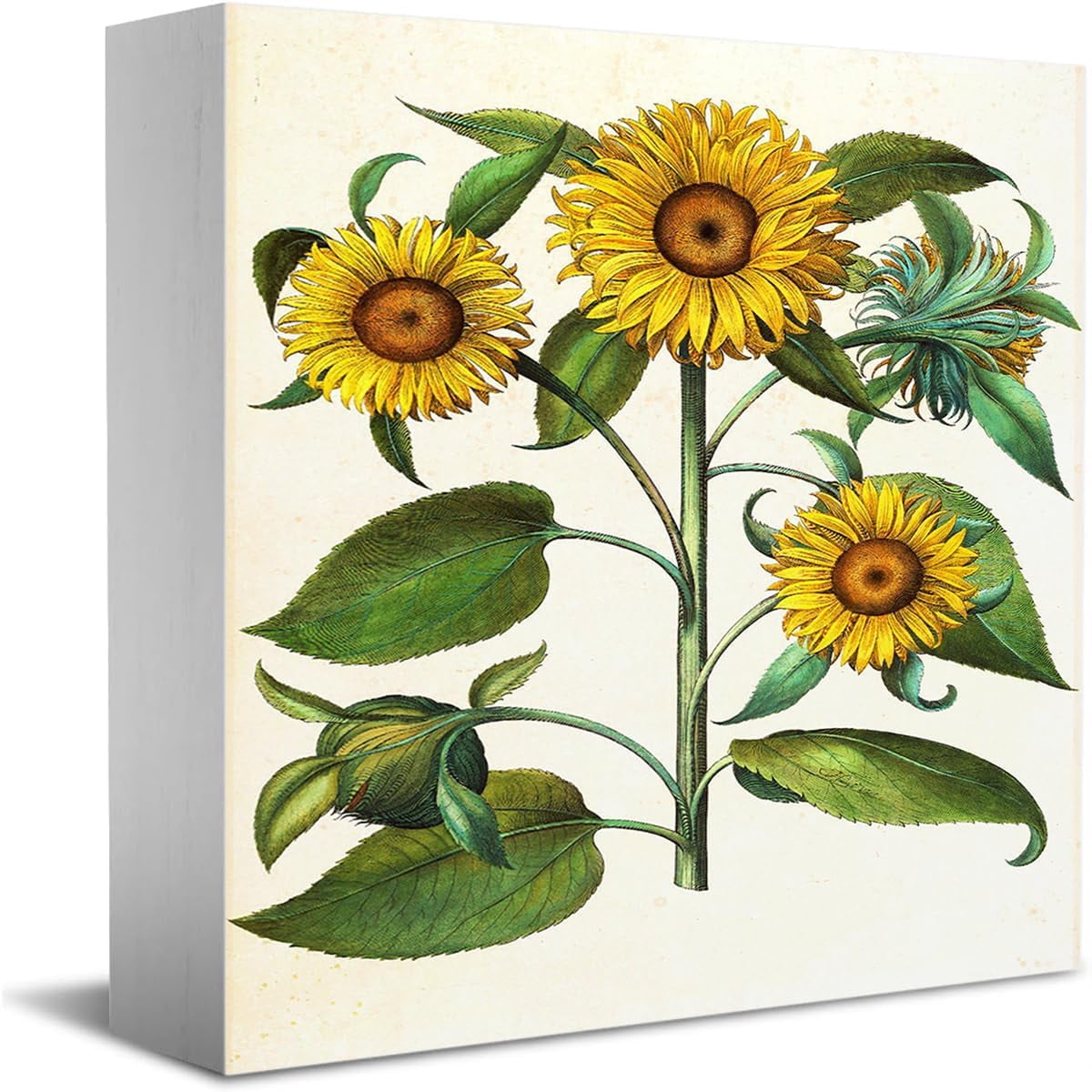Botanical Sunflower Wood Block Plaque Box Signs Rustic Farmhouse Office ...