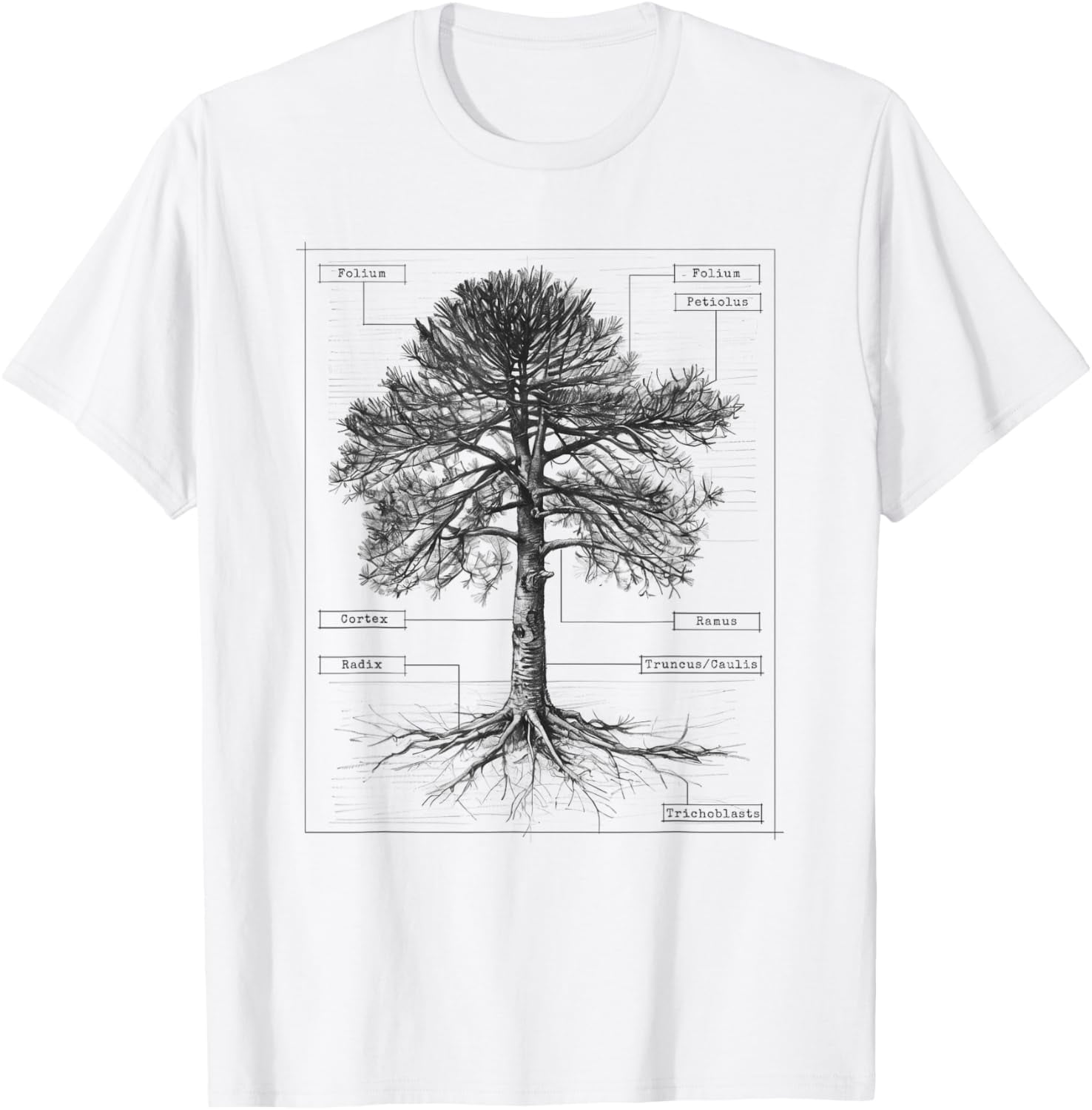 Botanical Tree Diagram Anatomy Graphic T-Shirt - Walmart.com