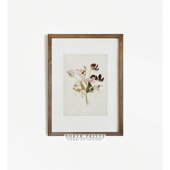 Botanical Vintage Print | Antique Flower Farmhouse North Prints #405 ...