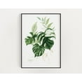 Botanical Wall Art, Wall Art, Watercolour Plants, Botanical Prints ...