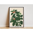 Botanical of Red Berries on Stem with Green Leaves Vintage Inspired ...