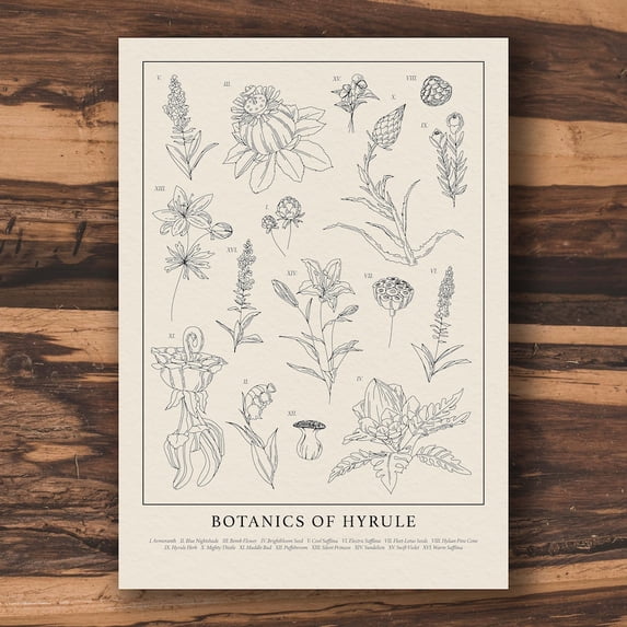 Botanics Of Hyrule - Black And White Vintage Botanical Legend Of Zelda ...