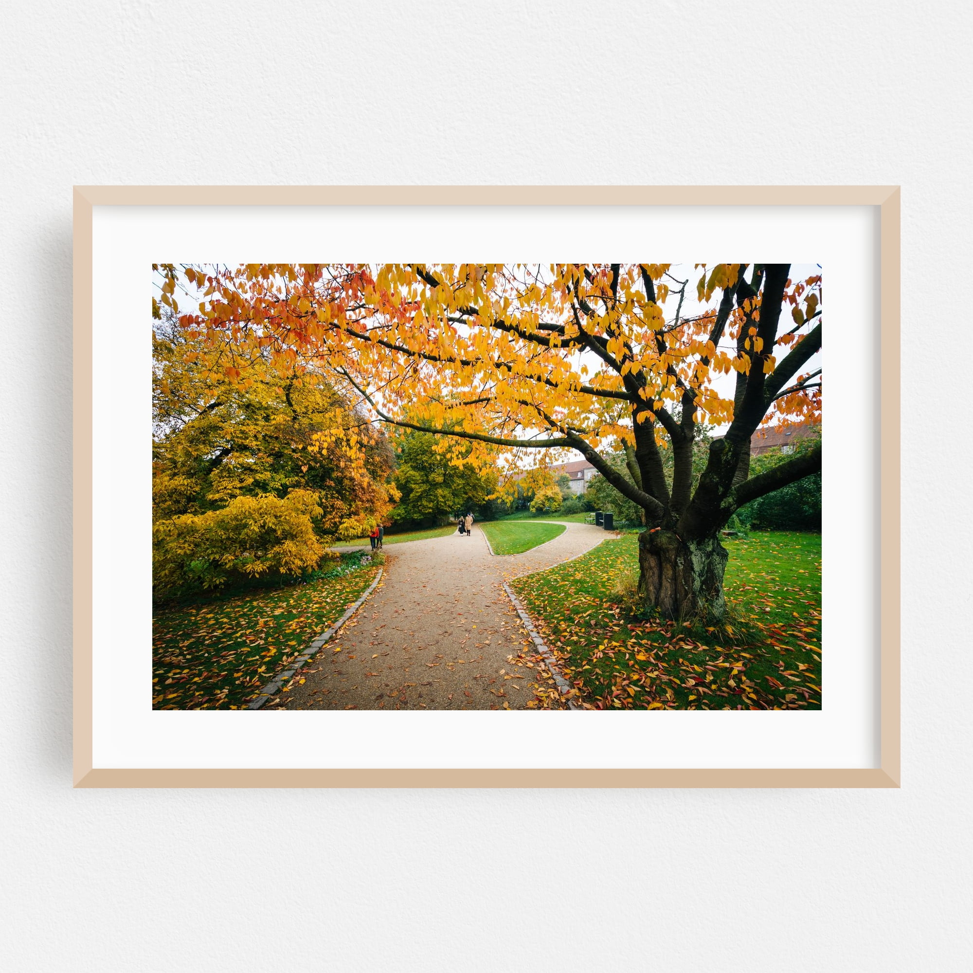 Botanisk Have - Copenhagen Denmark Photography Autumn Nature Landscape ...
