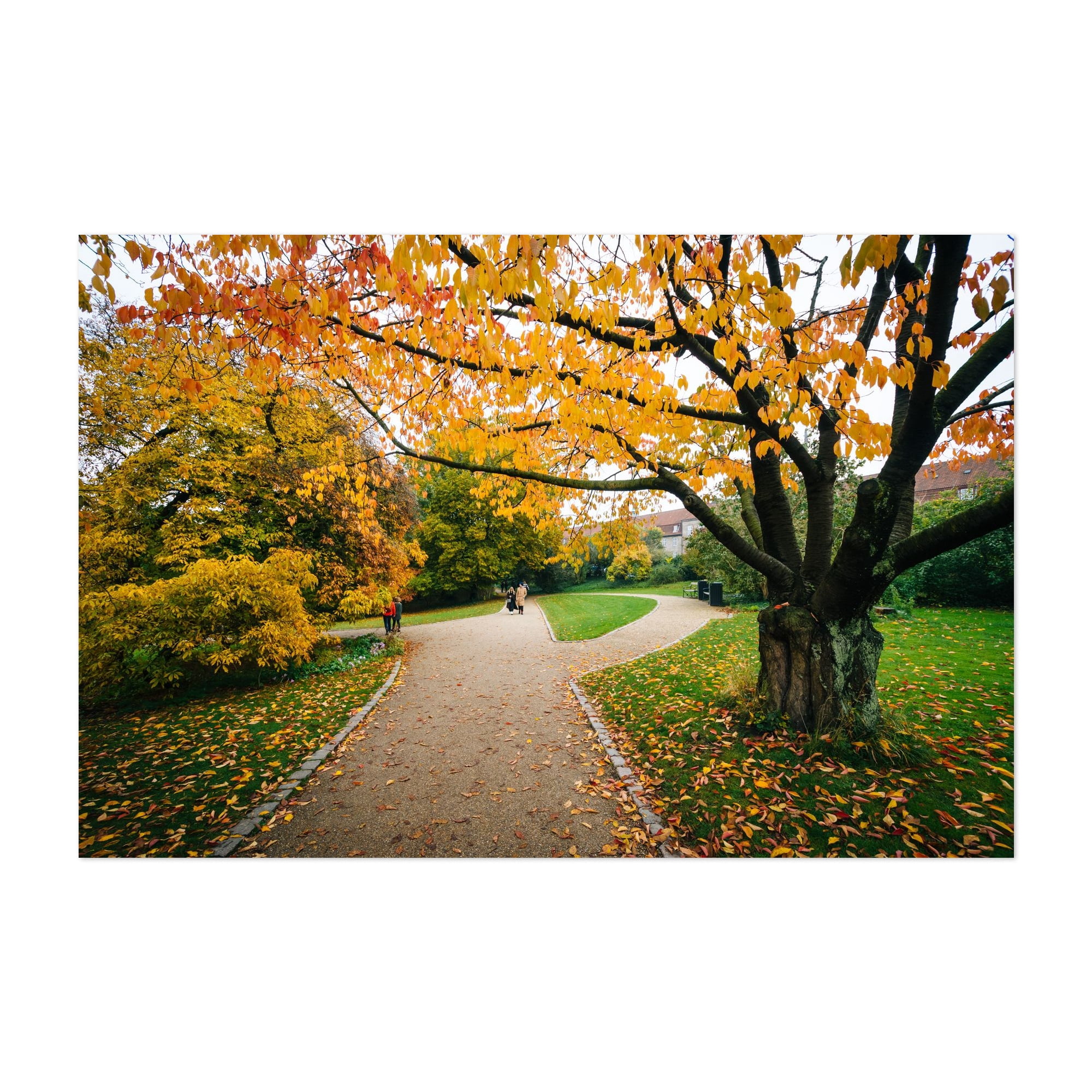 Botanisk Have - Copenhagen Denmark Photography Unframed Wall Art Print ...