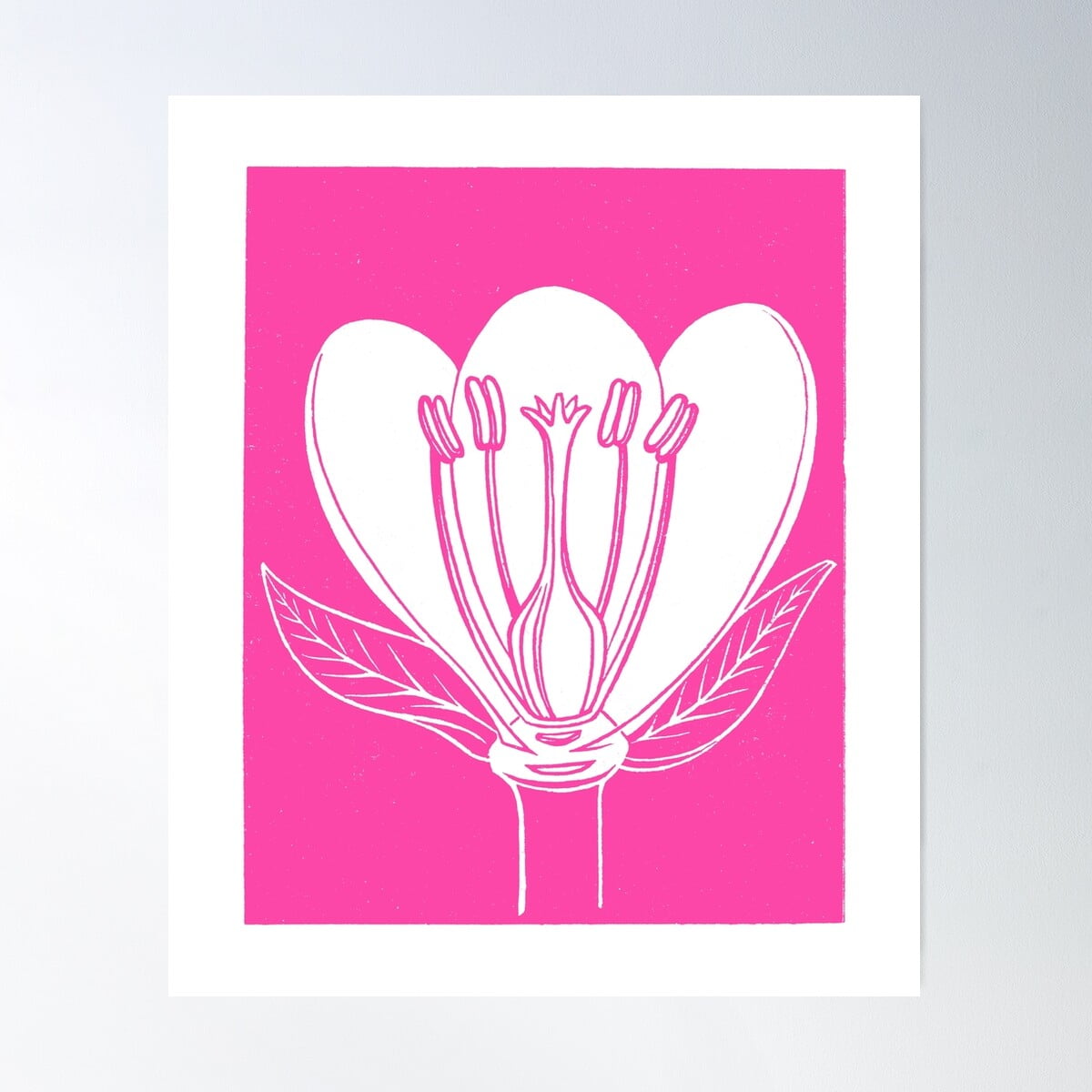 Botany 5 Poster Wall Art, Modern Wall Decor For Living Room Bedroom ...