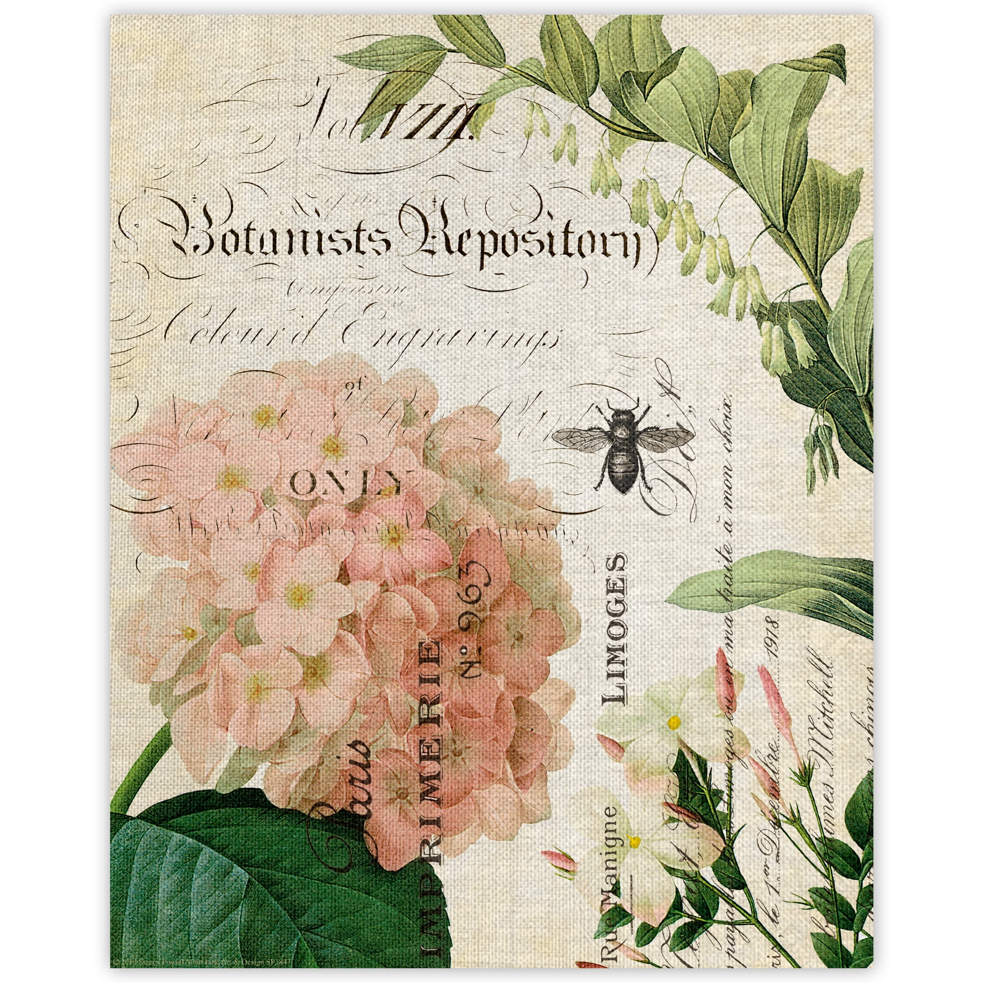 Botany Collage IV by Stacey Powell Wrapped Canvas Art Print - Walmart.com