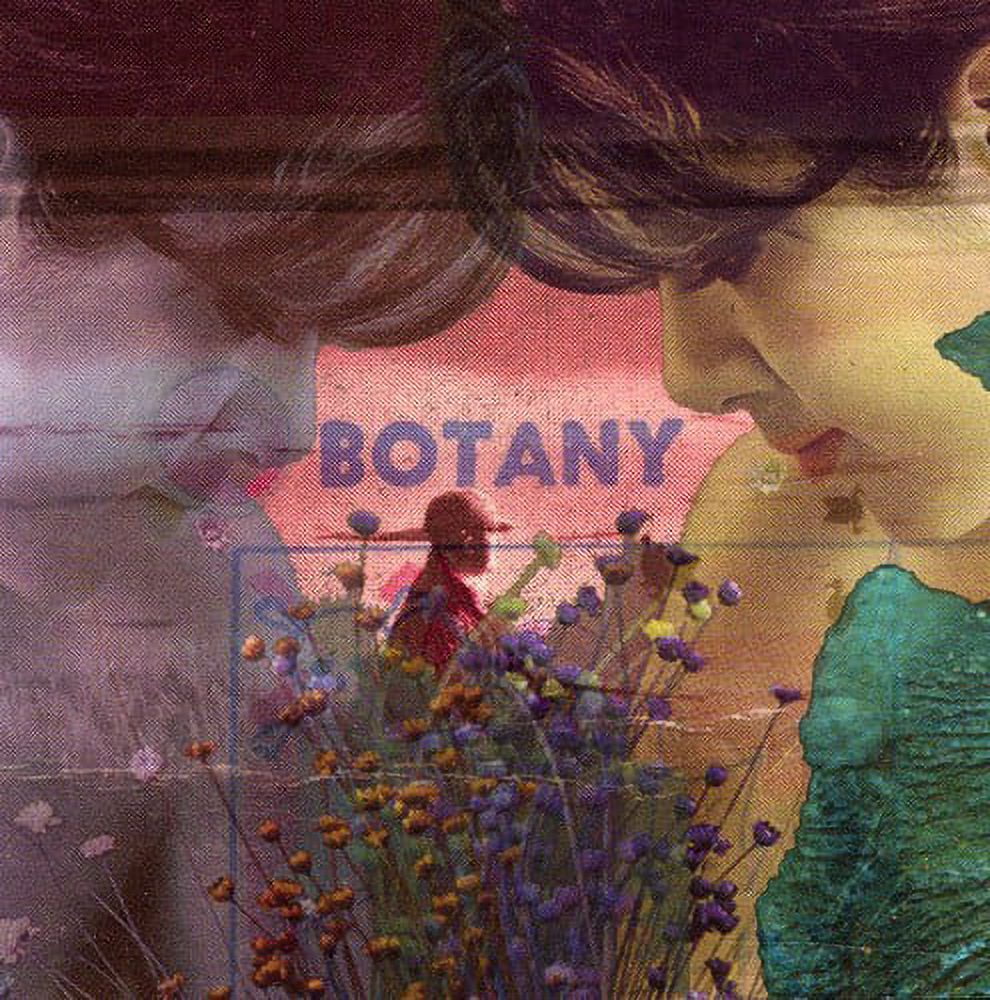 Botany - Feeling Today - Music & Performance - CD - Walmart.com