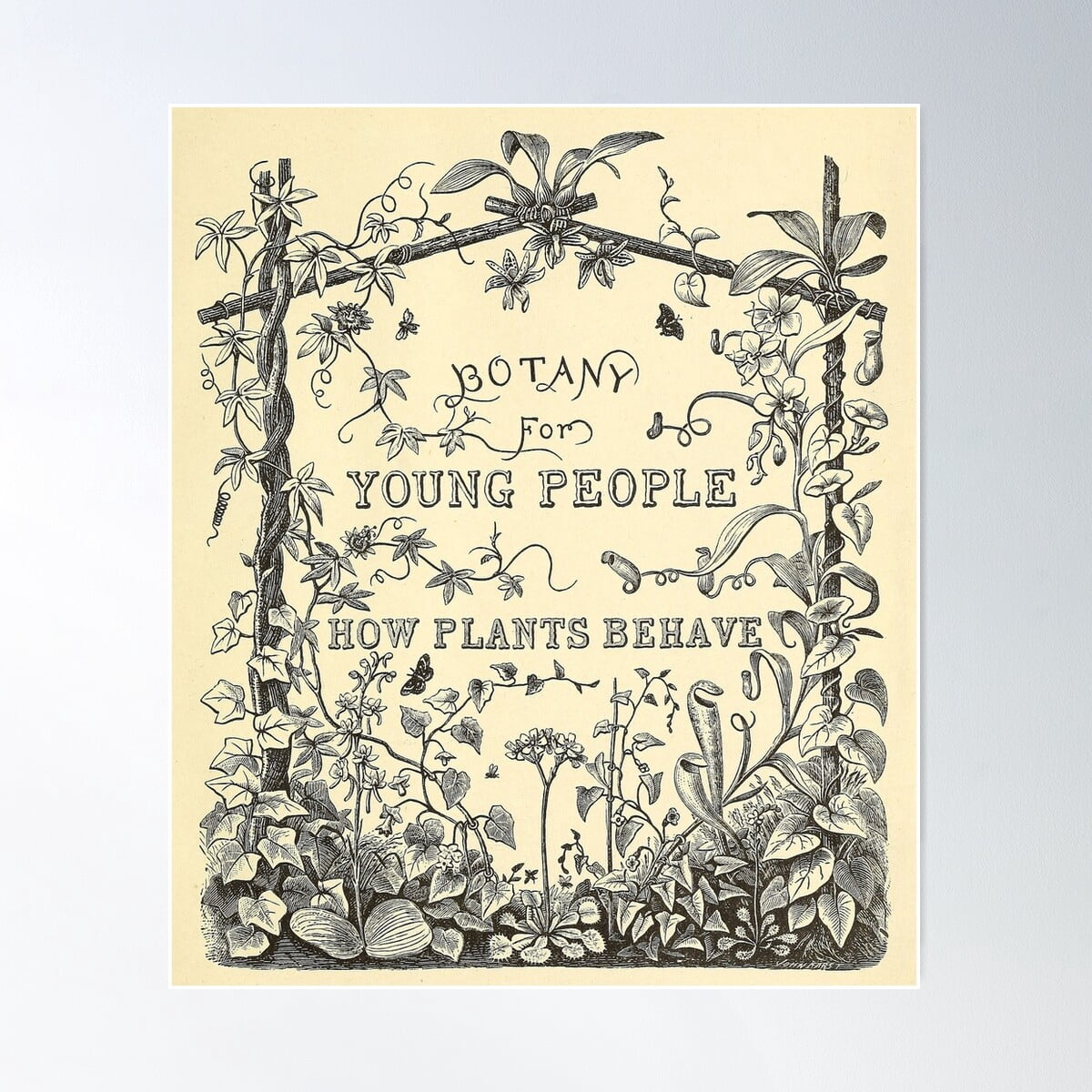 Botany For Young People. 1872 Antique Book Cover Art Poster Wall Art ...
