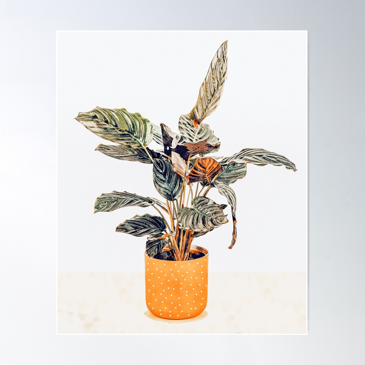 Botany Ii Poster Wall Art, Modern Wall Decor For Living Room Bedroom ...