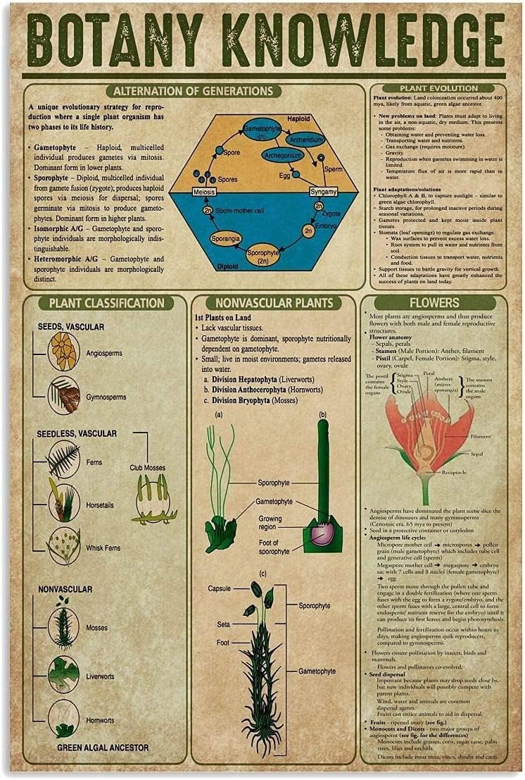Botany Knowledge Metal Signs Wall Decor Gardener Science Education ...