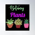 Botany Plants Poster Wall Art Modern Wall Decor For Living Room Bedroom ...