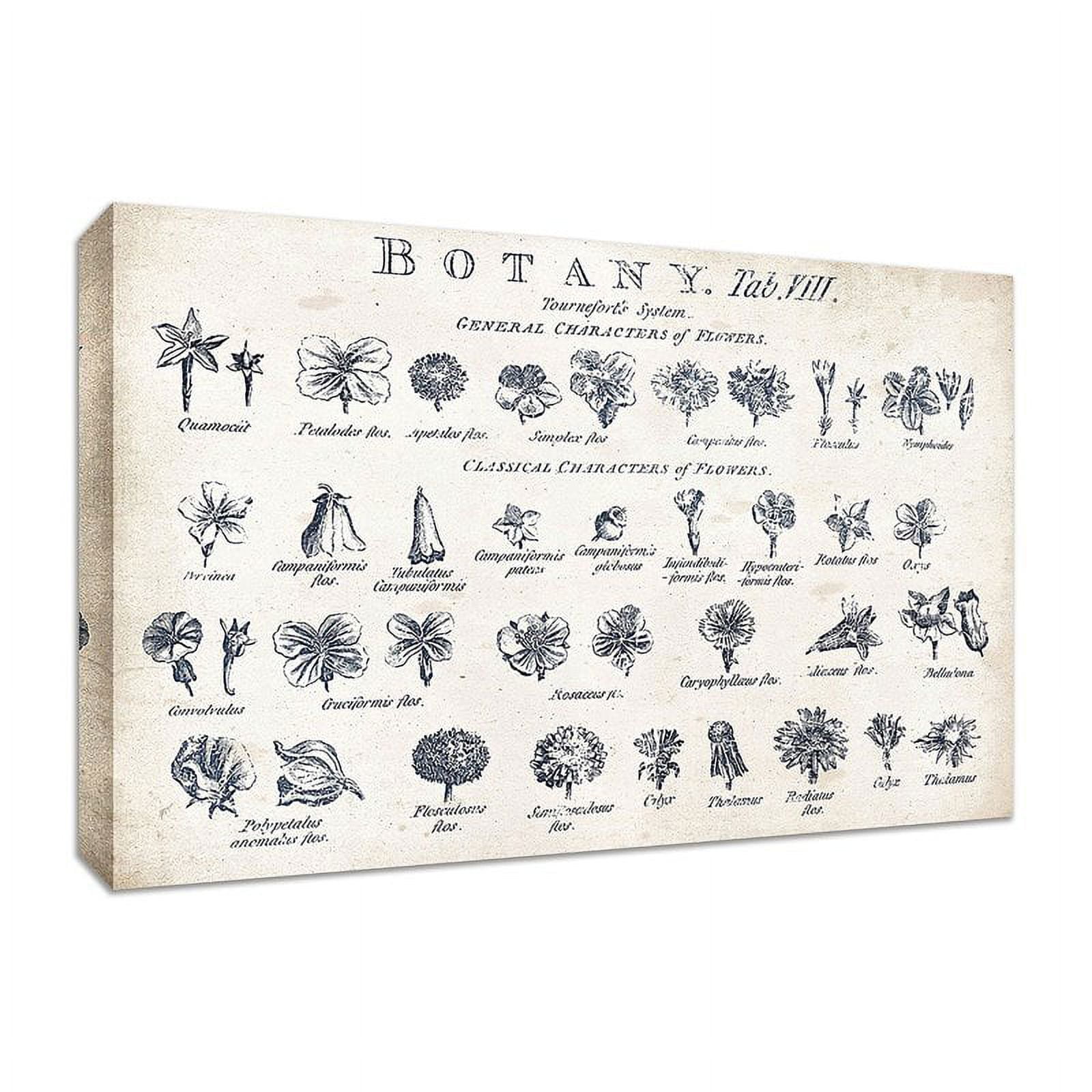 Botany Tab VIII Indigo and White by WA Portfolio - Canvas Fabric Multi ...