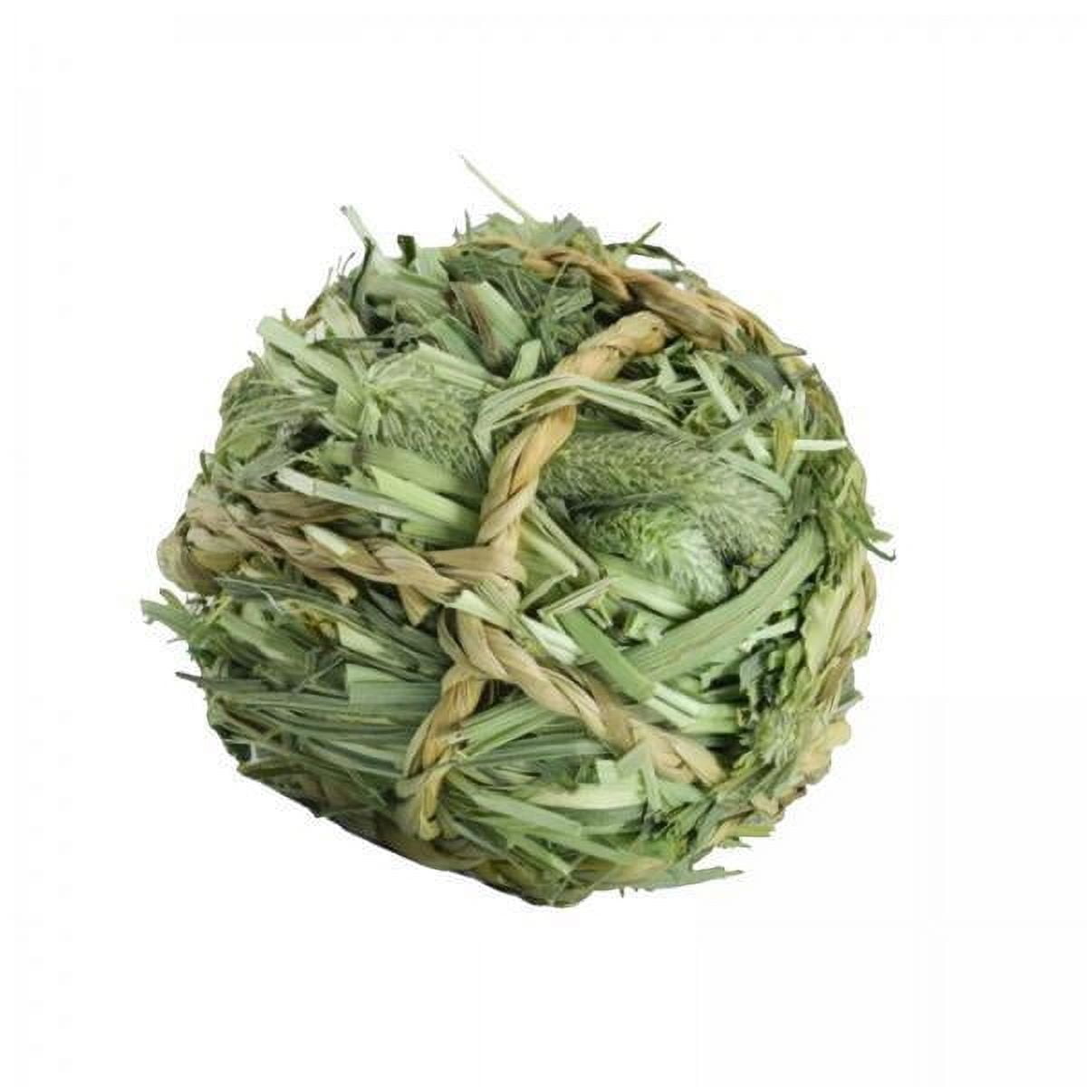 Bothyi 4x Toy Woven Grass Ball Activity Toy Bite Grind Toy Timothy ...
