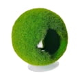 Bothyi Fish Tank Hideaway Aquarium Decoration Compact Green Easy ...