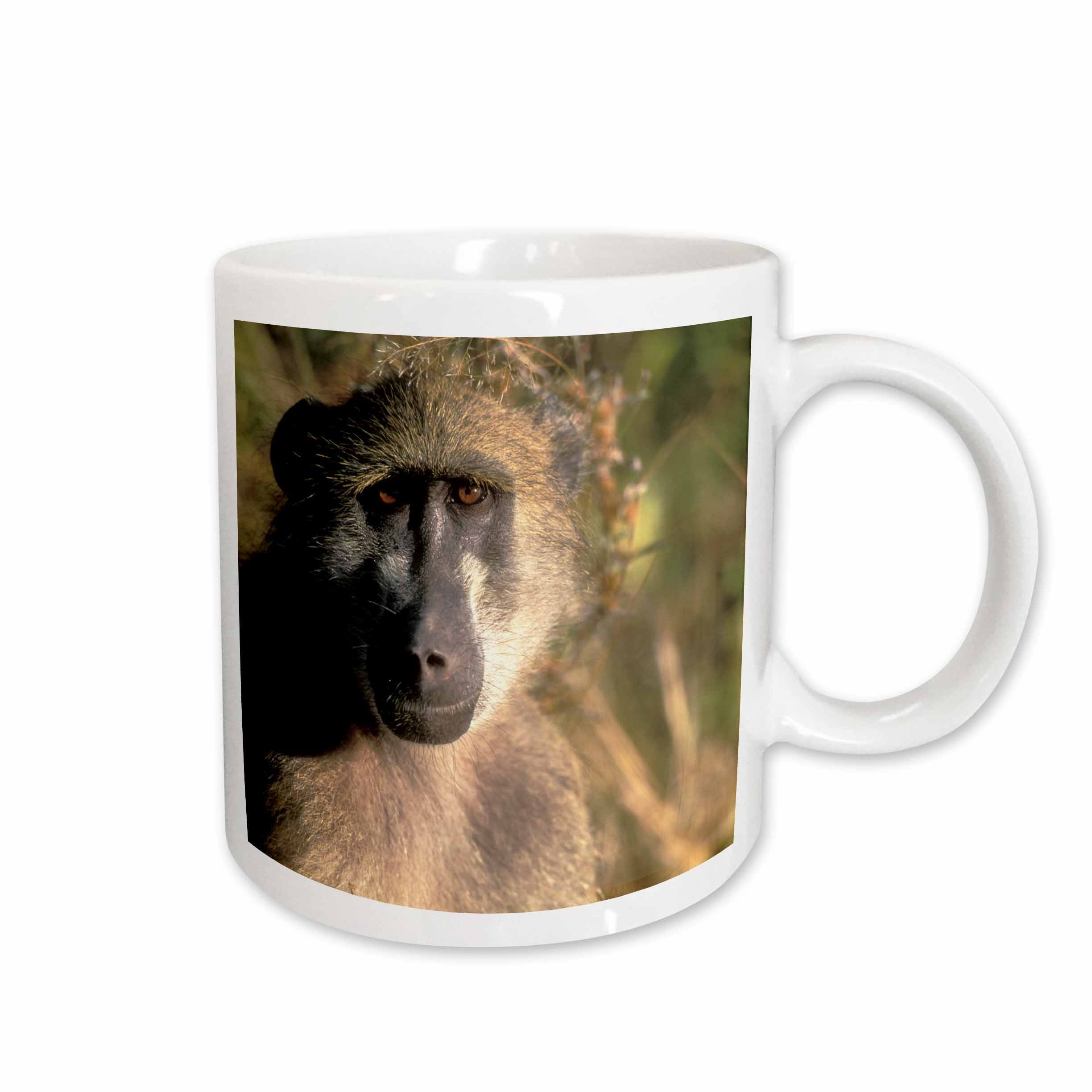 3drose, Botswana, Chobe Np, Chacma Baboon, Primate-af05 Pso0064 - Paul ...