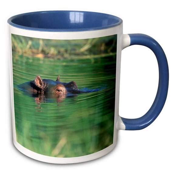 3drose, Botswana, Moremi Game Reserve, Hippo Wildlife, Khwai -af05 ...