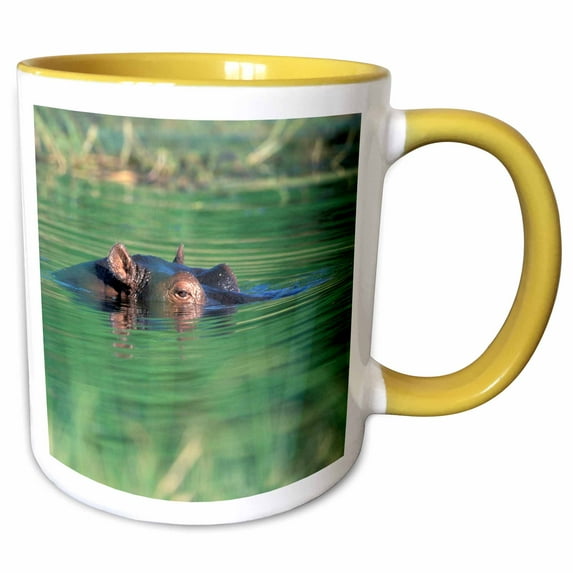 3drose, Botswana, Moremi Game Reserve, Hippo Wildlife, Khwai -af05 ...