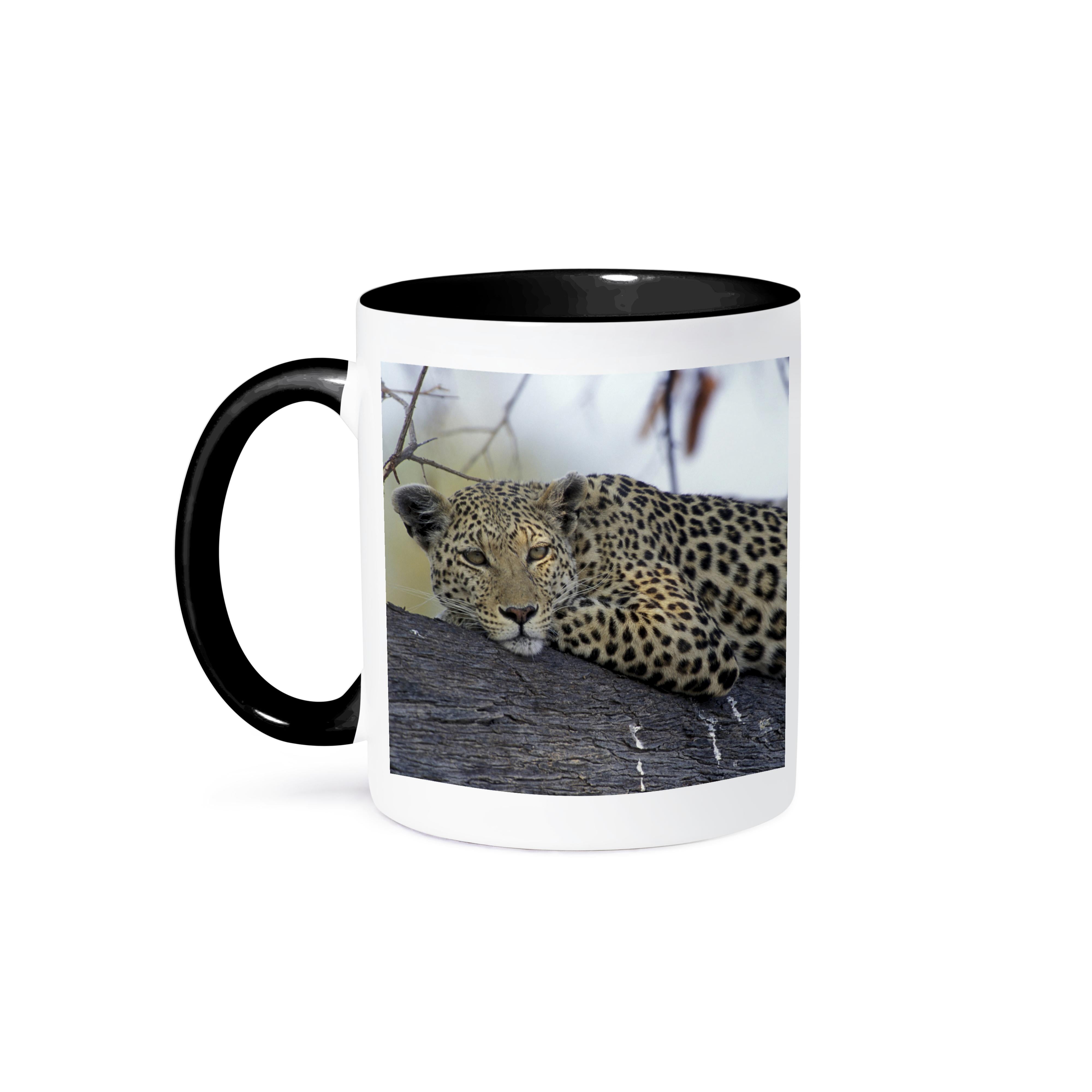 3dRose, Botswana, Moremi Game Reserve, Leopard -AF05 PSO0136 - Paul ...