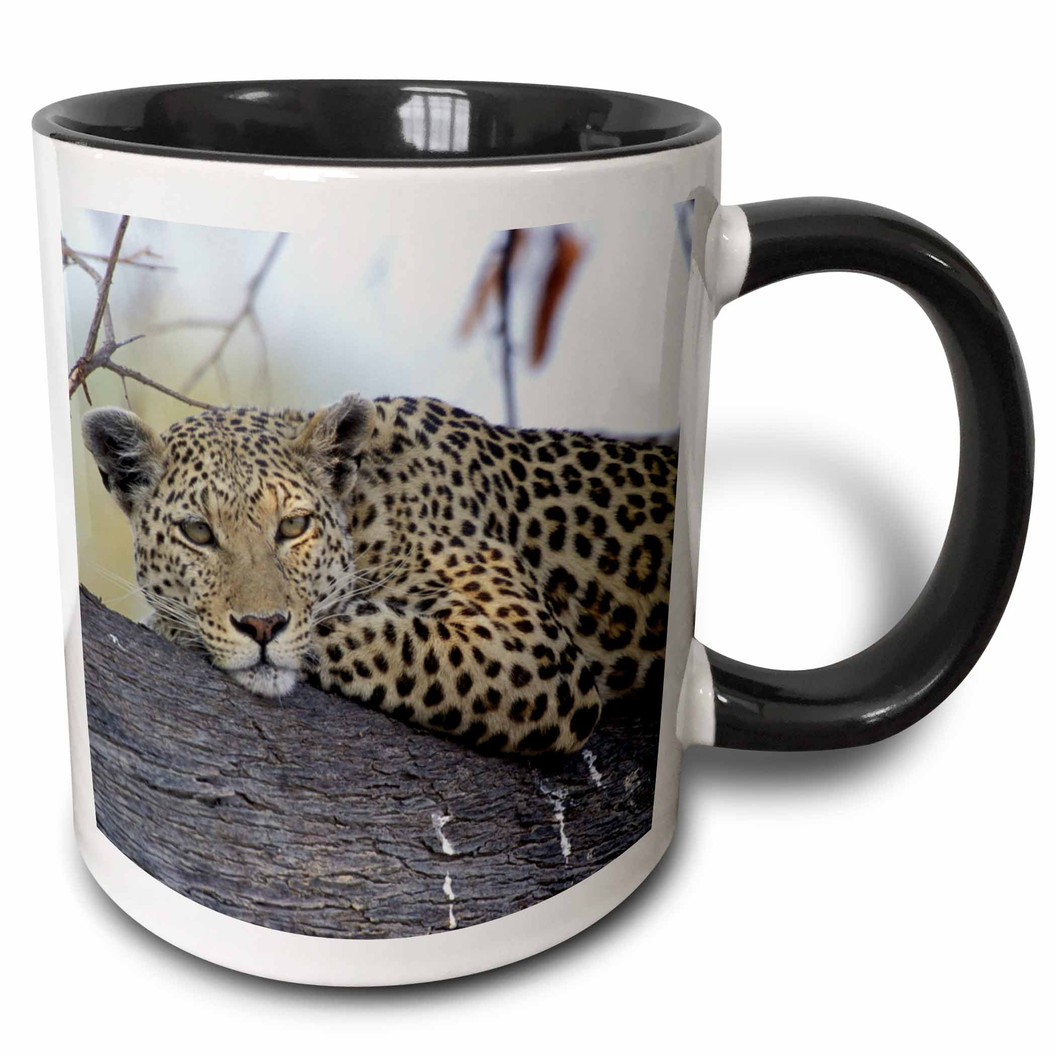 3drose, Botswana, Moremi Game Reserve, Leopard -af05 Pso0136 - Paul ...