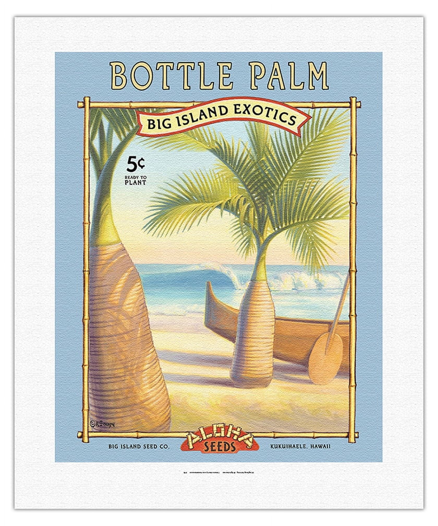 Bottle Palm - Aloha Seeds - Big Island Seed Company - Big Island ...