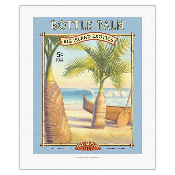Bottle Palm - Aloha Seeds - Big Island Seed Company - Big Island ...