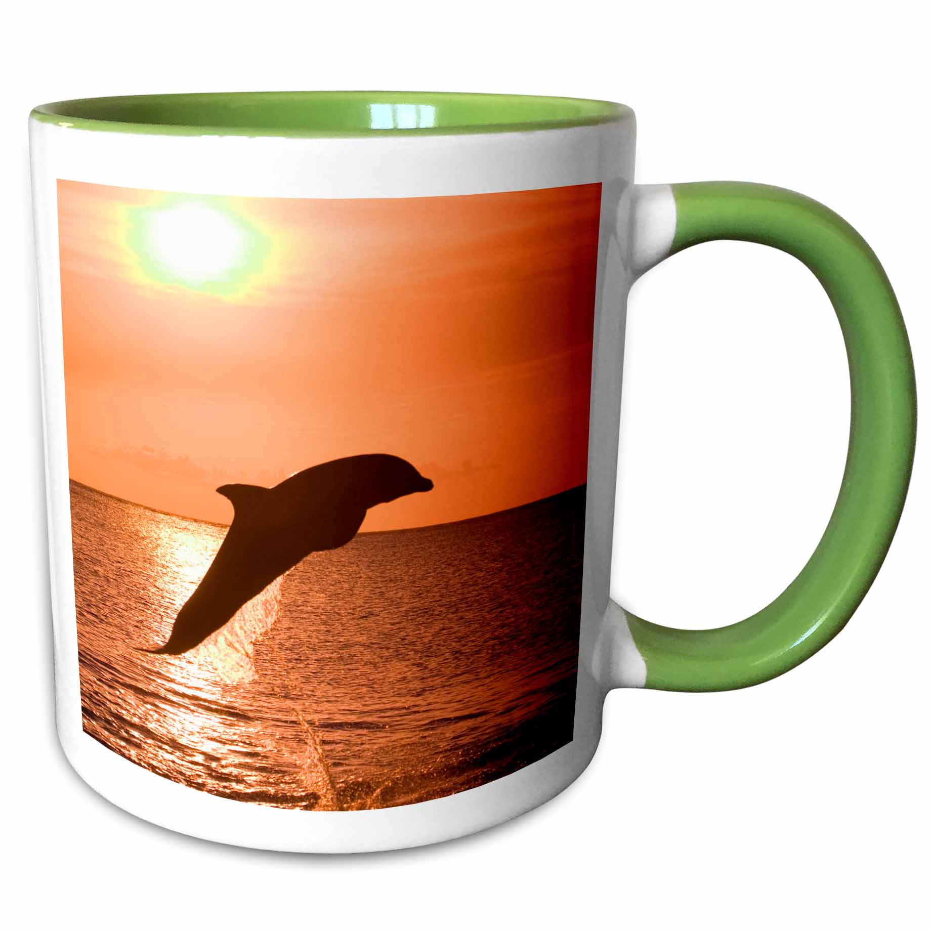 3drose, Bottlenose Dolphins, Caribbean Sea - Na02 Sws0013 - Stuart ...