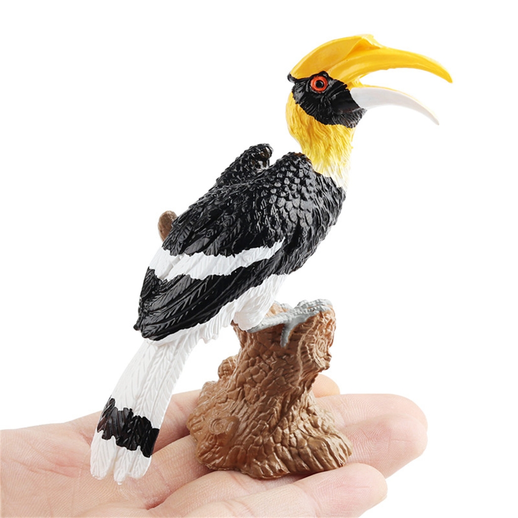 Bottone Realistic Toucan Model Figure Toy Statue Bird Figurine ...