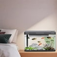 BouPower Small Fish Tank Kit with Light & Filter, 5/6.6 GAL Mini ...