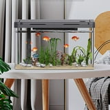 BouPower Small Fish Tank Kit with Light & Filter, 5/6.6 GAL Mini ...