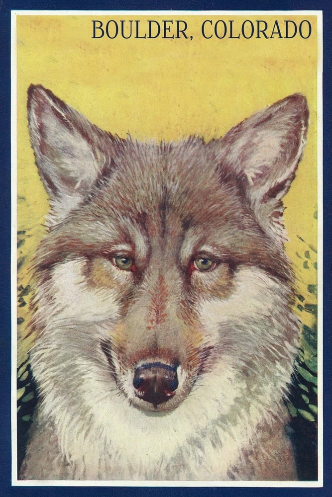Boulder, Colorado, Gray Wolf Retro Poster (16x24 Giclee Gallery Art ...