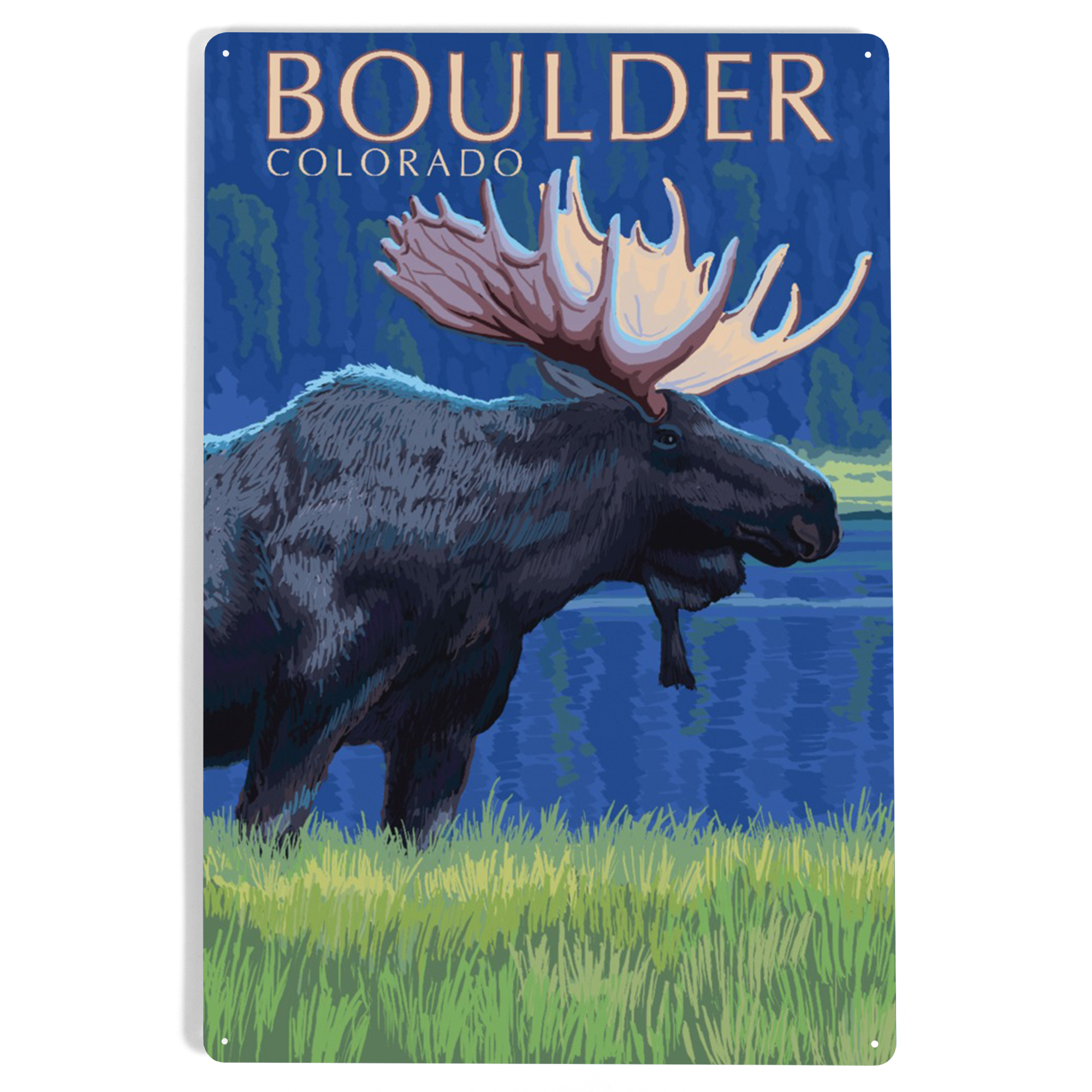 Boulder, Colorado, Moose at Night (12x18 Aluminum Art, Indoor Outdoor ...