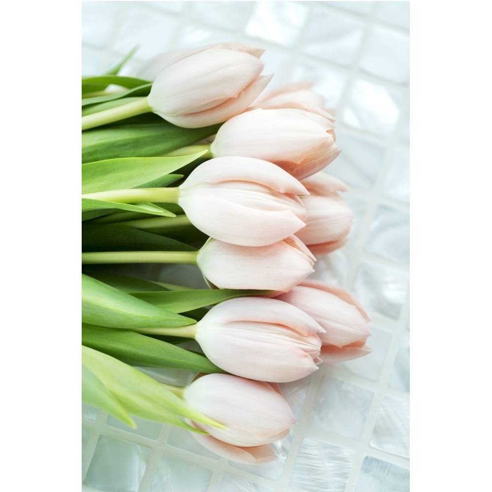 Bouquet of soft pink tulips laying on a tile counter by Lorna Rande ...