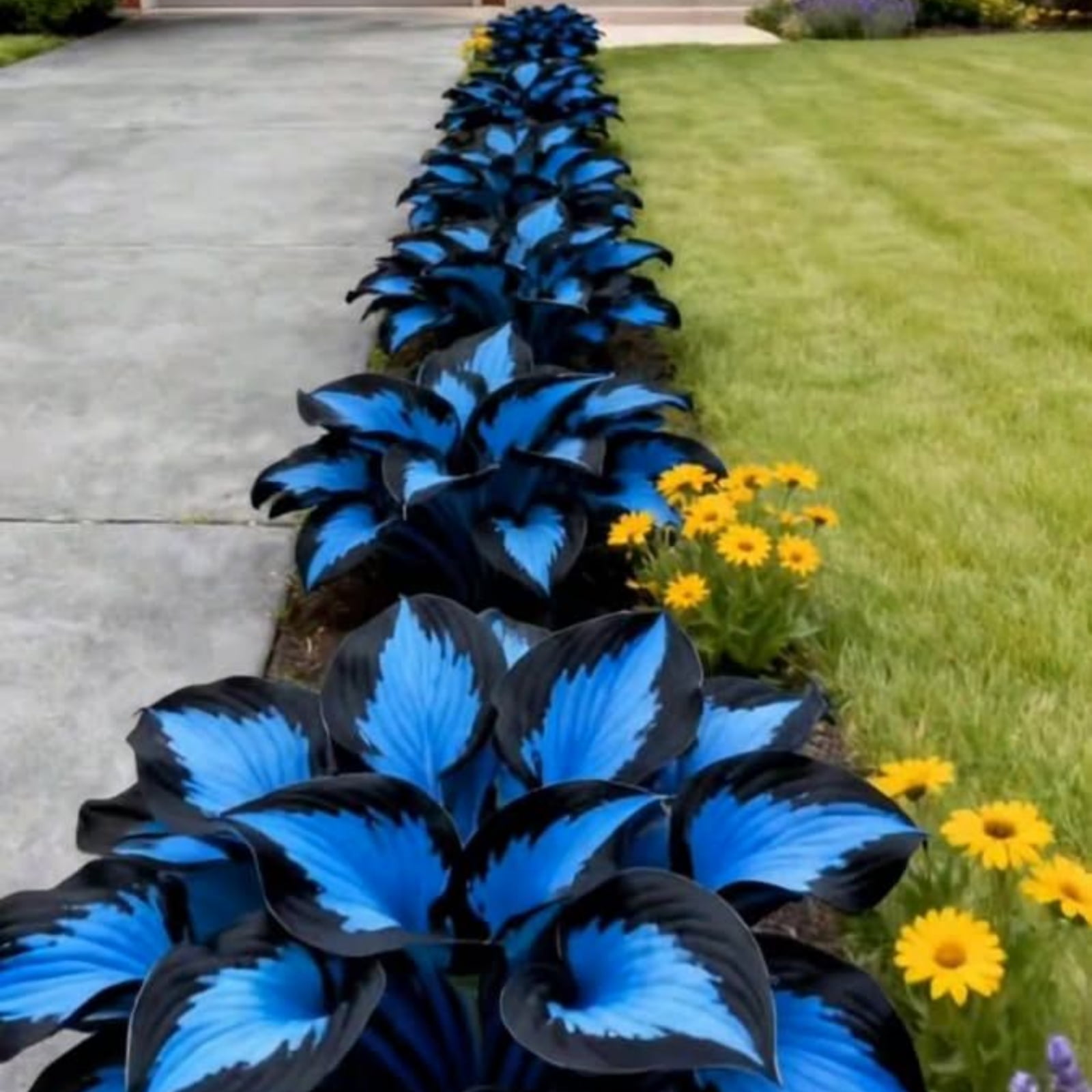 Boutique-Hosta-Bulbs For Planting - Premium Garden Stakes Perfect for ...