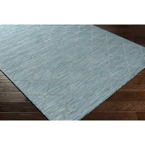 Aqua Colored Rugs